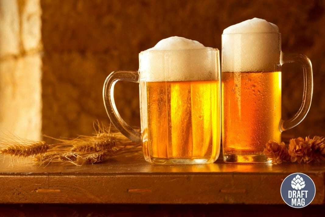 Famosa Beer Review: Classic Example of a Great American Lager