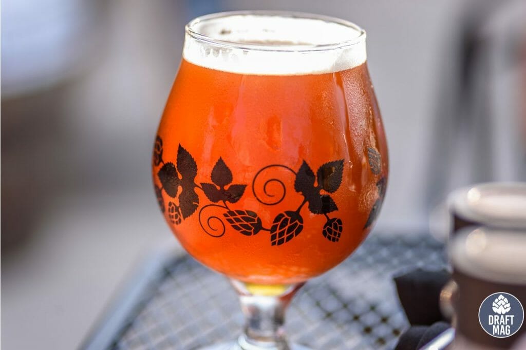 Wild Range IPA Review: What To Expect From This Hoppy Delight