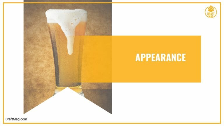 Blanche de Bruxelles: A Classic White Beer You Cannot Miss