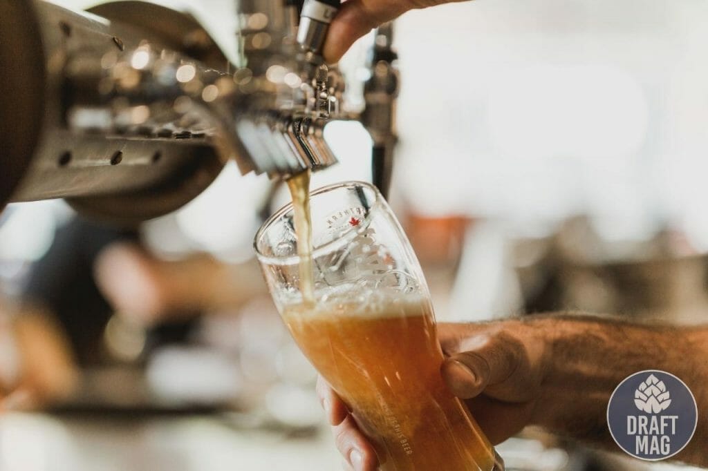 Cloud Candy Beer Review: A Complete Guide to This Popular NEIPA