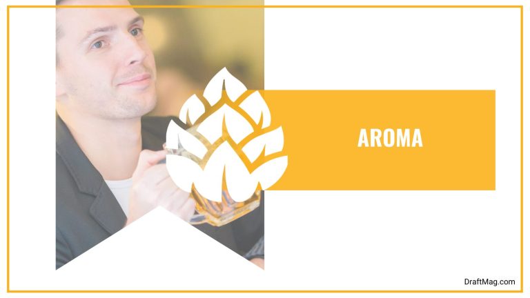 Sloop Juice Bomb - An Unfiltered Beer You Cannot Miss