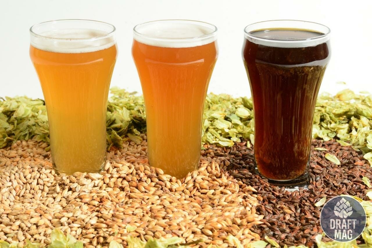 Extract vs All Grain: What’s The Difference for Homebrewing?