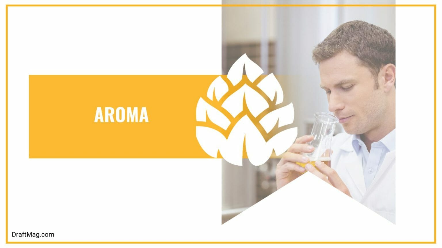 Founders Green Zebra: The Fruity Craft Beer Is Coming Back