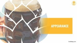 Michelob Amber Bock: A Detailed Review of This Dark, Nutty Lager