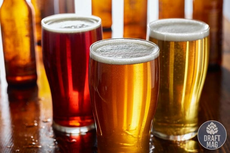 Lagunitas IPA Review: Everything To Know About This Classic IPA