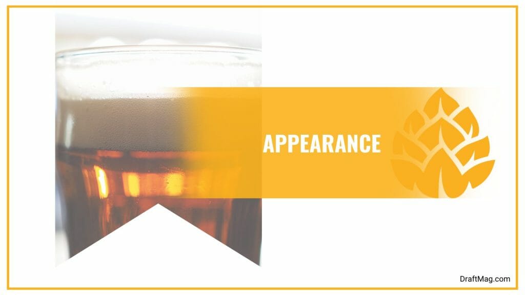 Samichlaus: The Beer That Is Brewed Only Once a Year