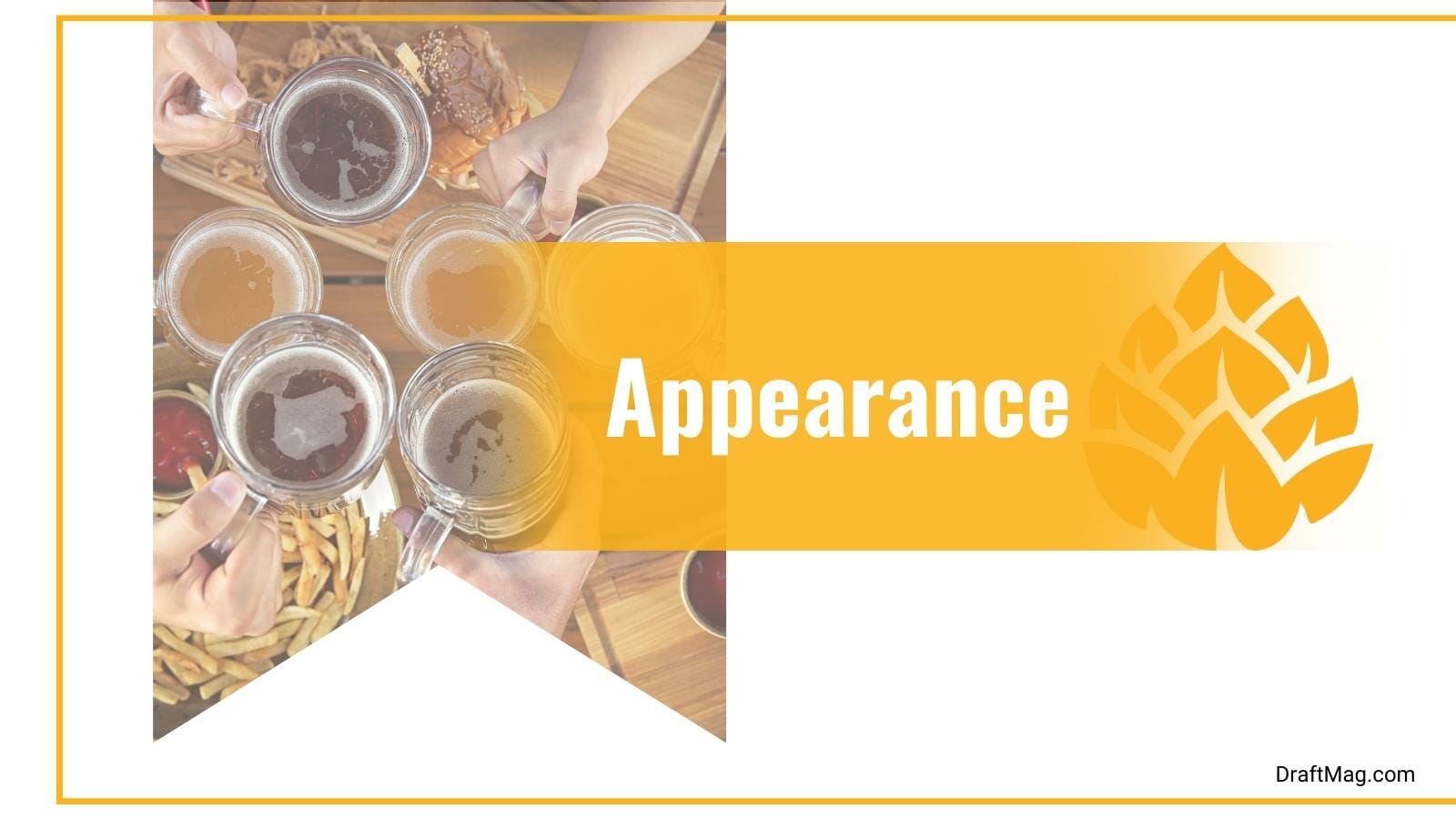 Shiner Ruby Redbird Review: Do We Recommend This Fruit-style Lager?