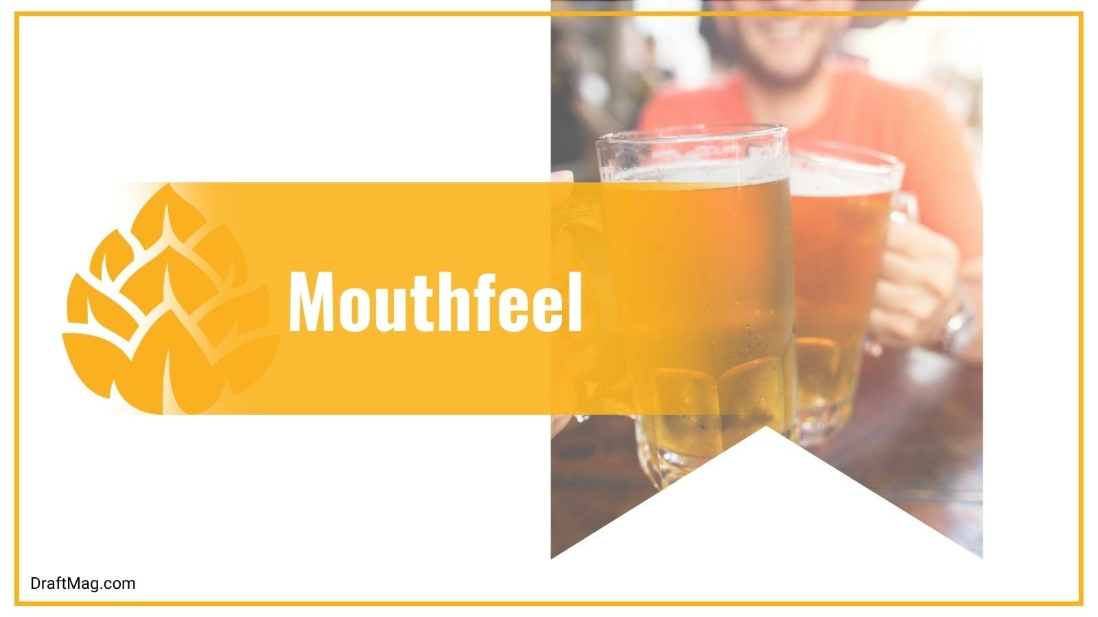 Shiner Ruby Redbird Review: Do We Recommend This Fruit-style Lager?