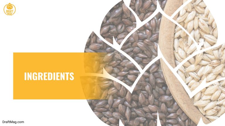 Sloop Juice Bomb - An Unfiltered Beer You Cannot Miss