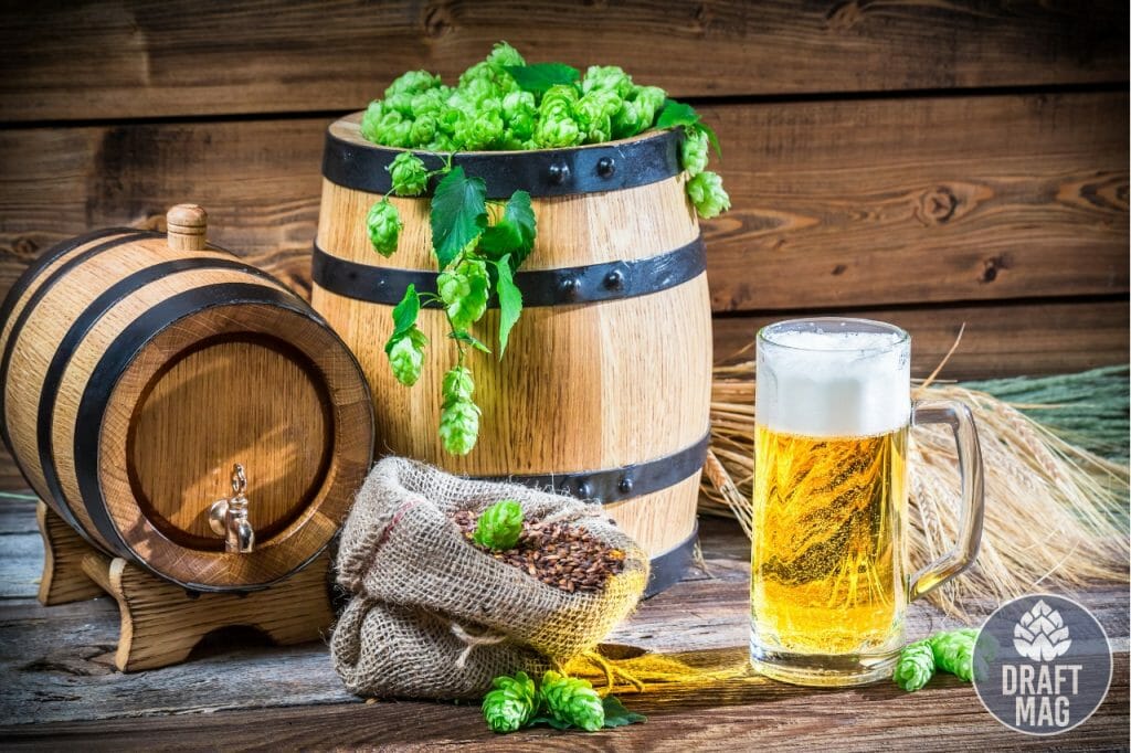 Dos Equis Lime and Salt Review: The Guide to This Mexican Beer Combo