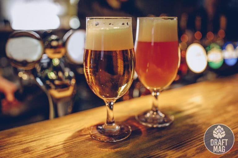 Fiddlehead IPA Review: Why You Can’t Get Enough Of This Vermont IPA