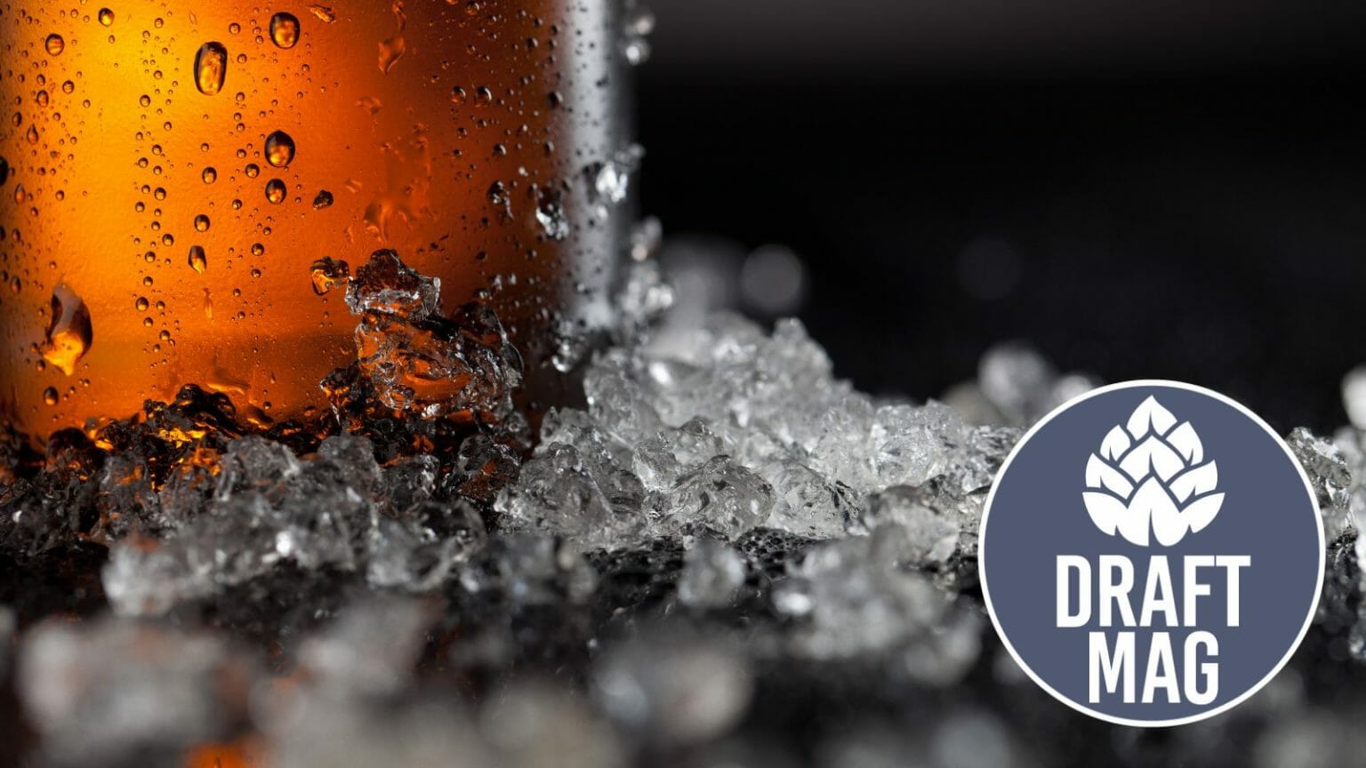 Chug Beer: Best Tips & Techniques to Chug Beer Fast