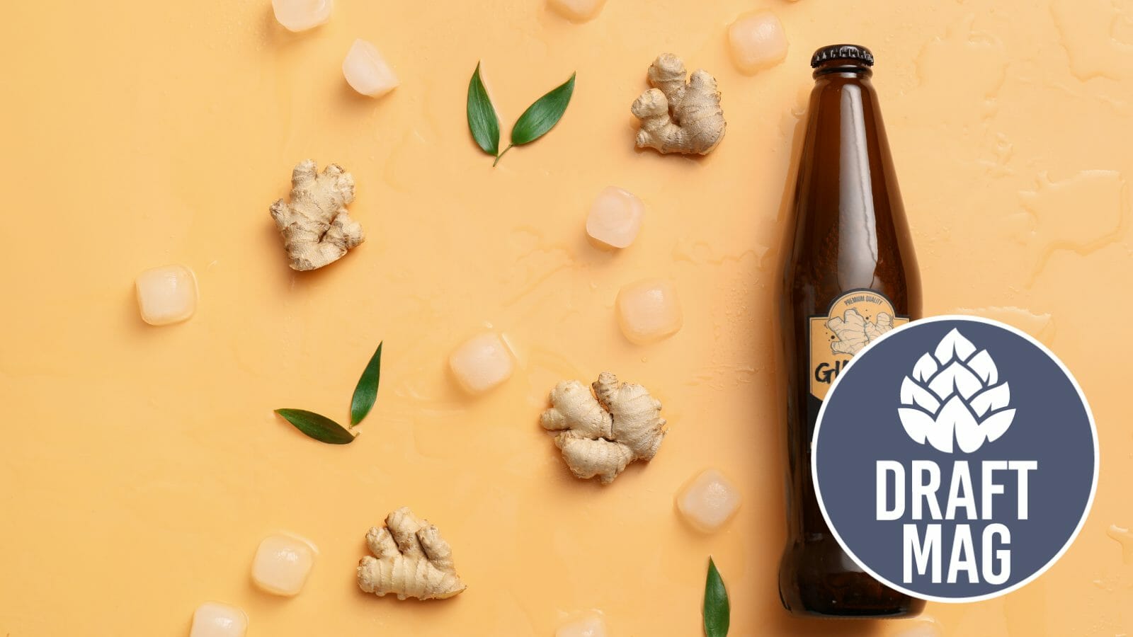 How Long Does Ginger Beer Last? Shelf Life and Proper Storage How Long Does Ginger Beer Last? Shelf Life and Proper Storage