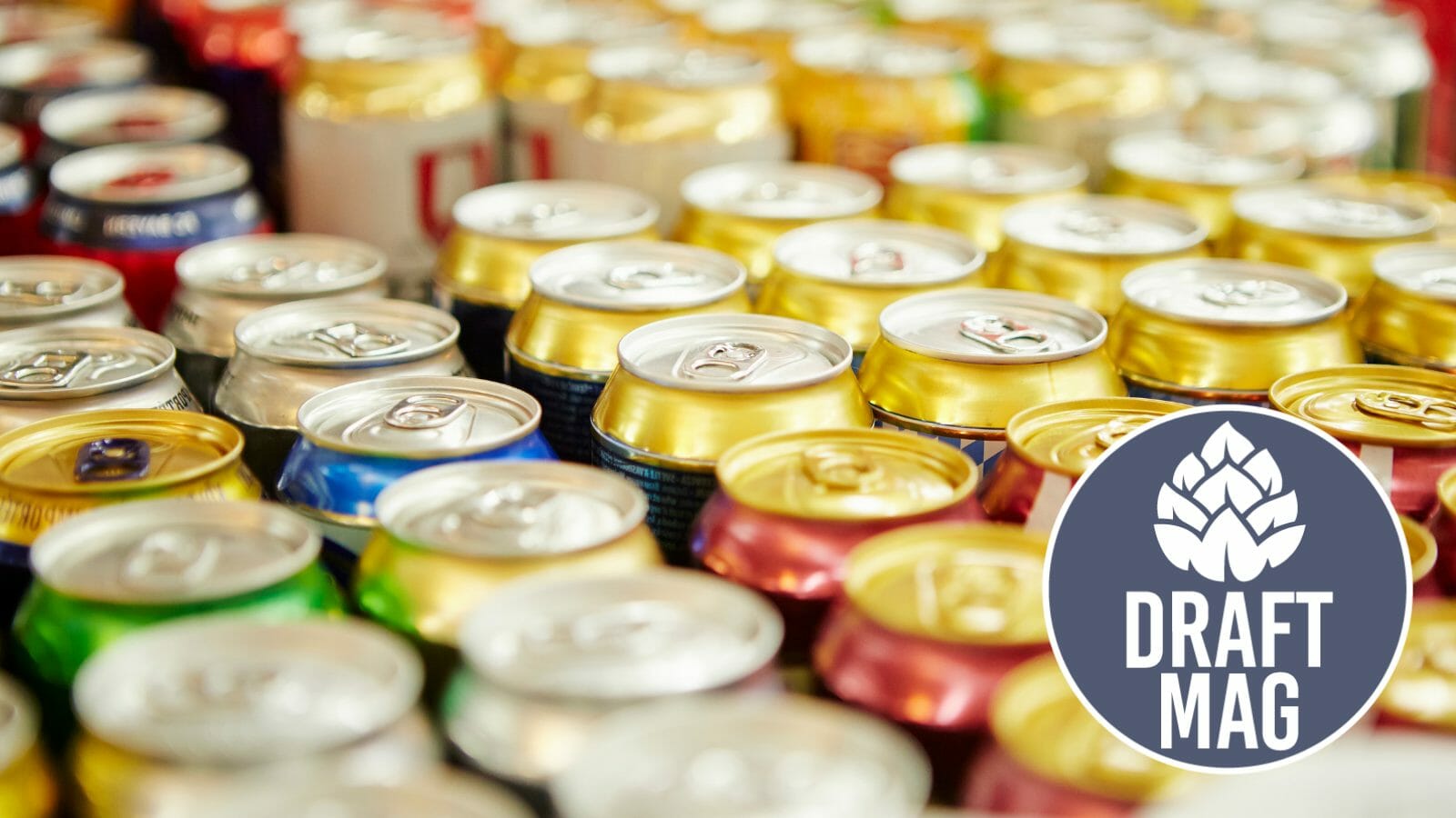 How to Can Beer for Beginners: The Most Effective Ways To Get It Done