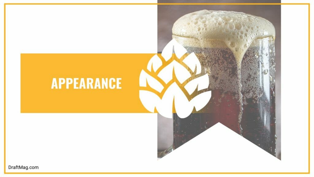 Tactical Nuclear Penguin Review: Revealing a Top Imperial Stout