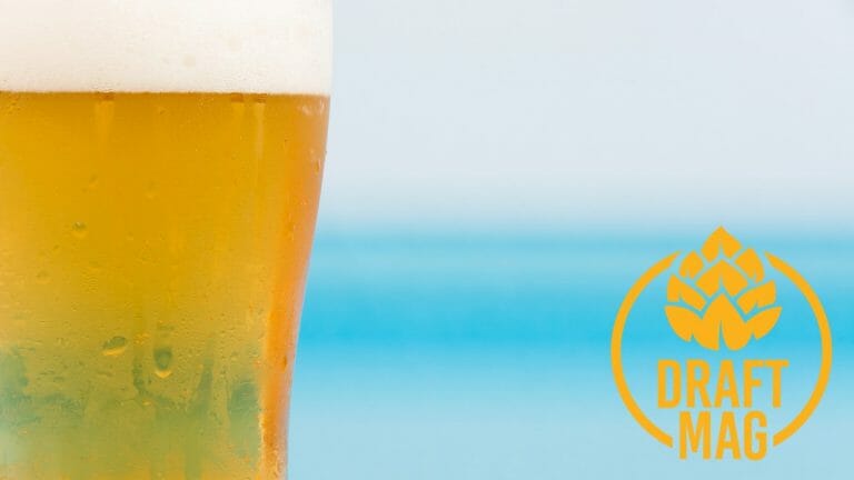 Beer Sediment: Why Is It There and Simple Ways To Get Rid of It