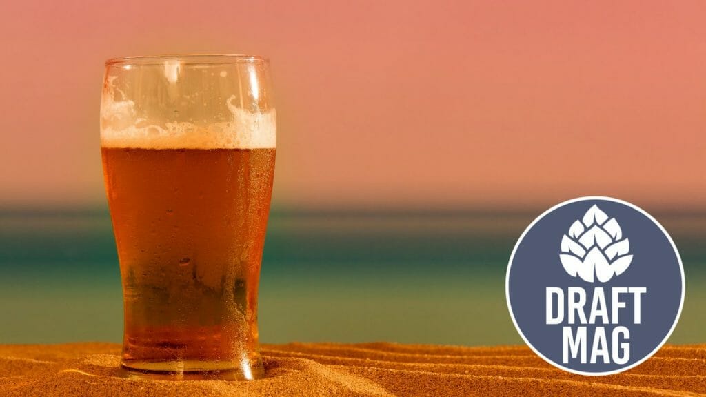 What Does Beer Smell Like? A Guide to the Most Common Beer Aromas