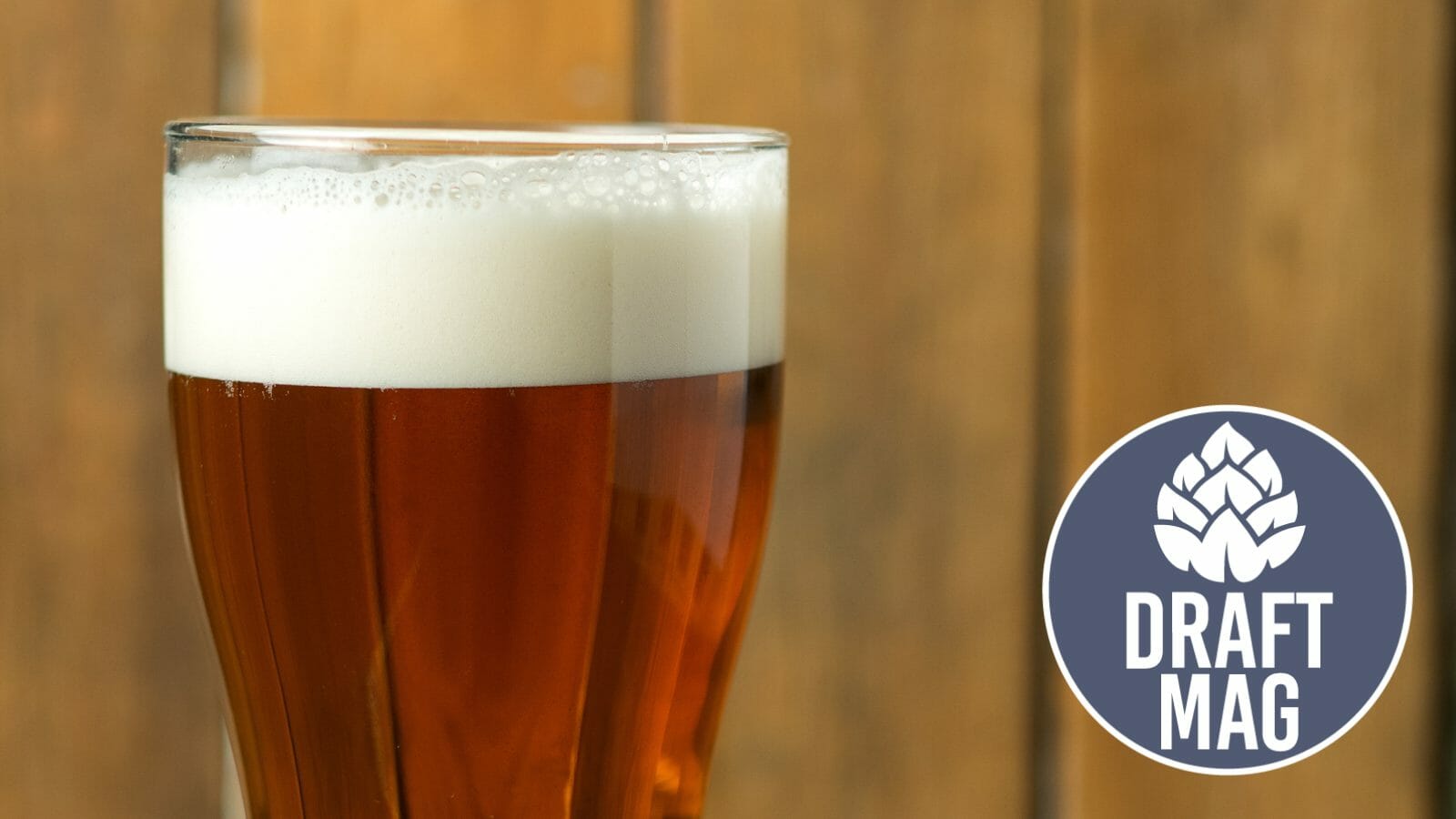 PH of Beer: An Easy To Understand Guide for Novice Homebrewers