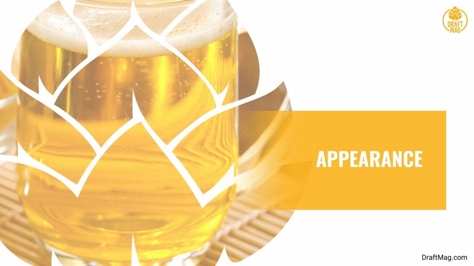 Brahma Beer Review: A Light Gold Adjunct Lager for Beer Lovers