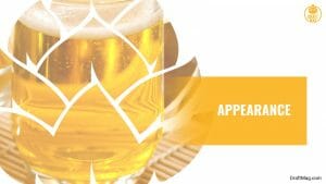 Brahma Beer Review: A Light Gold Adjunct Lager for Beer Lovers