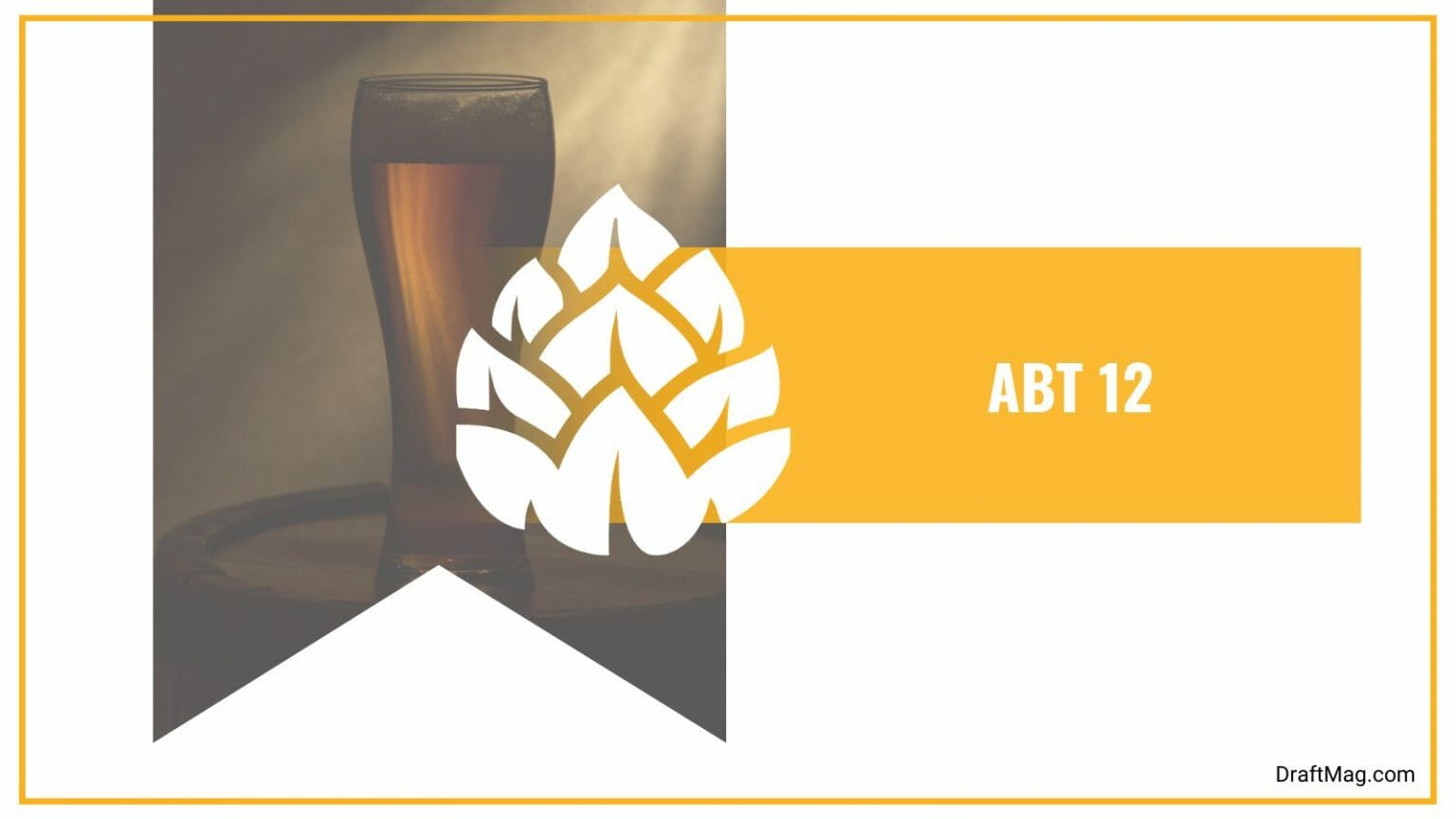 Strongest Belgian Beers: Best High ABV Brews From Belgium