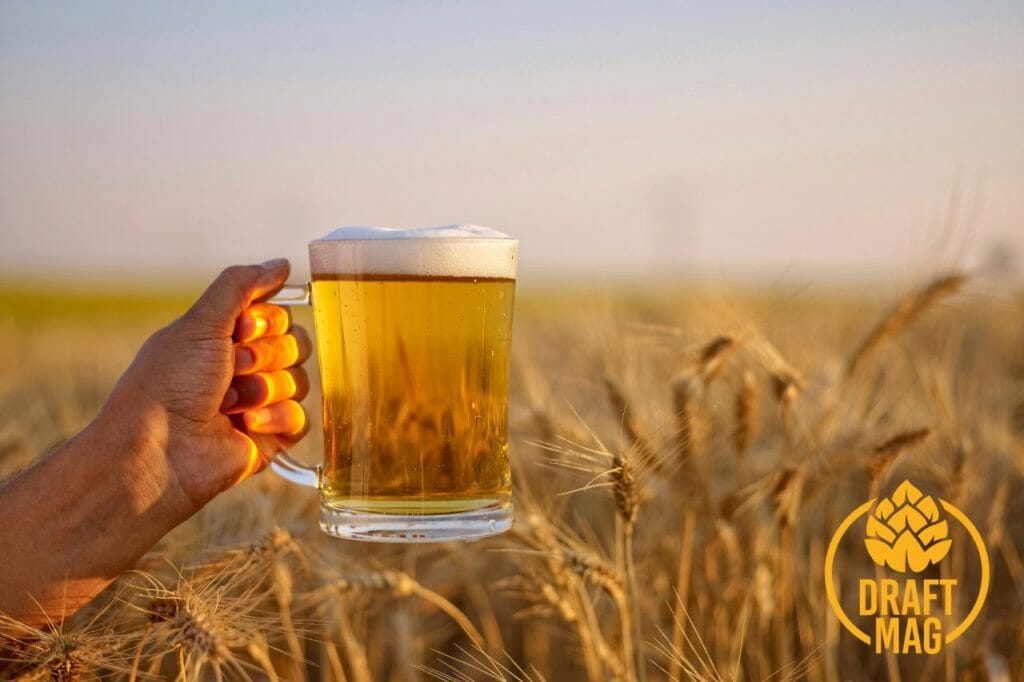 Natty Daddy Beer: A Review of This Malty Light Beer From AB InBev