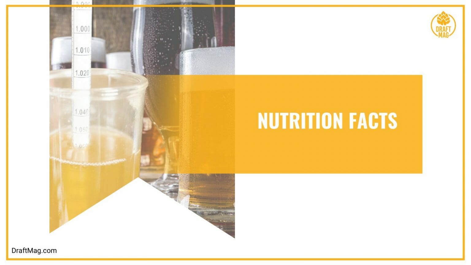 Tona Beer Review: A Refreshing Adjunct Lager for Beer Lovers