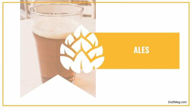 Is Beer Alcohol? Busting Popular Brew Myths With Science