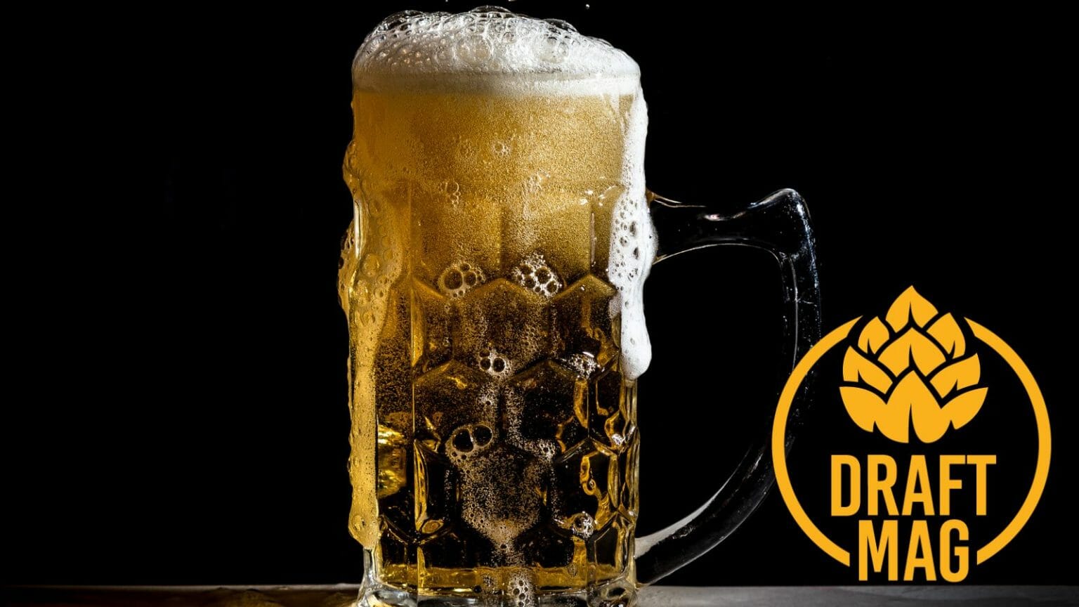 Modelo Limon Y Sal Review: Try This Smooth, Lime-flavored Beer