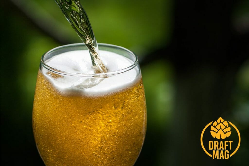 Brazilian Beer: The Best Brews You Have To Try at Least Once