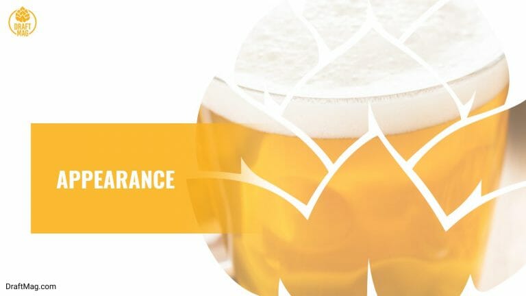 Hopadillo IPA Review: Try This Nicely Balanced American IPA