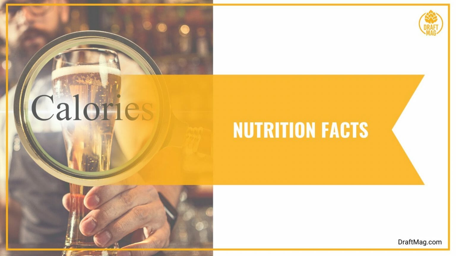 Molson Golden Review: Is This Adjunct Lager Worthy of Purchase?