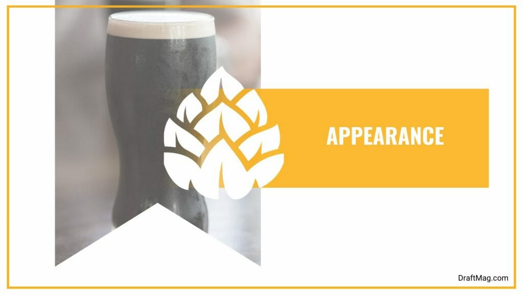 Guinness Beer Alcohol Content, Types, Flavors, and More!