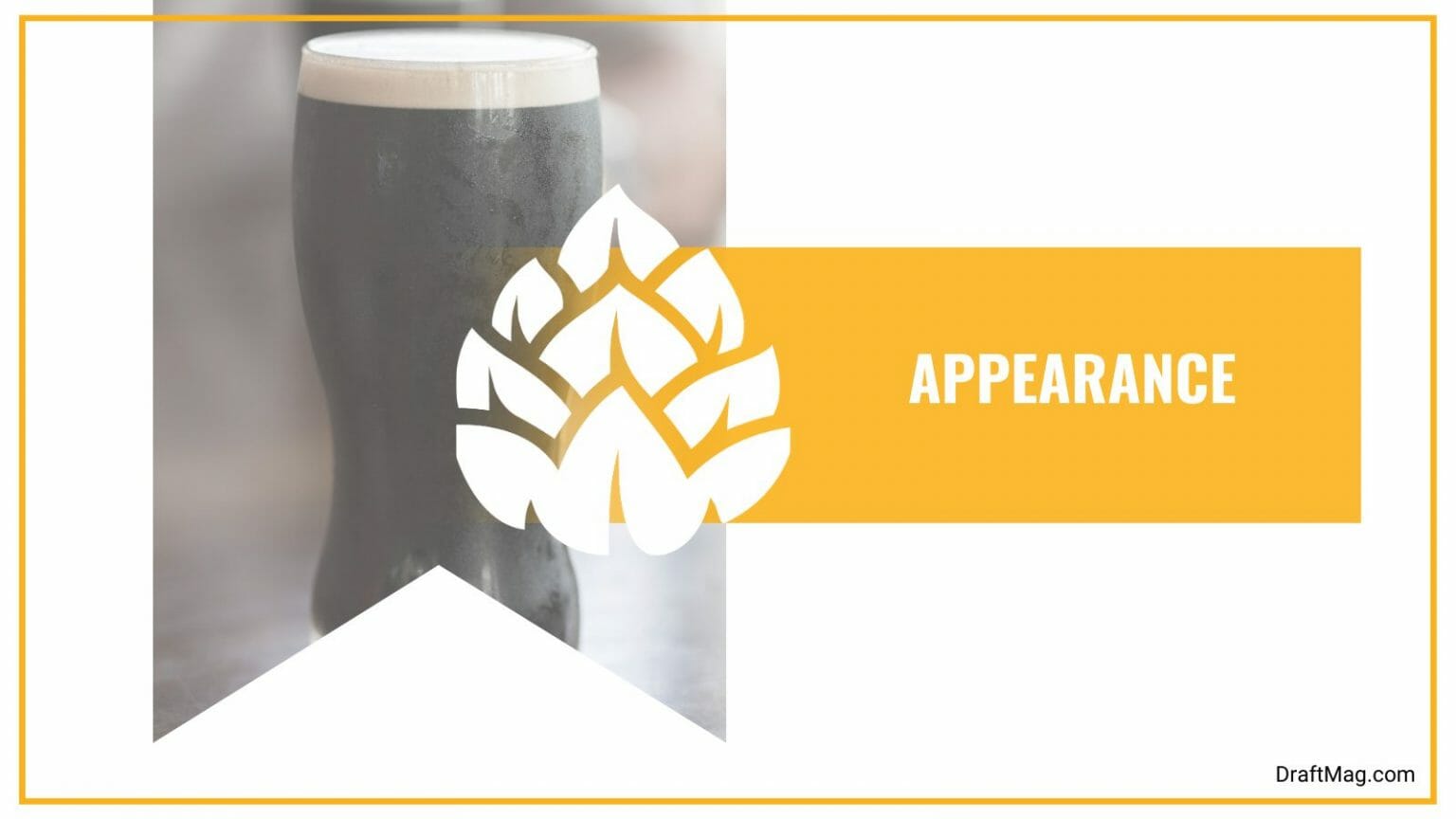 Guinness Beer Alcohol Content, Types, Flavors, and More!