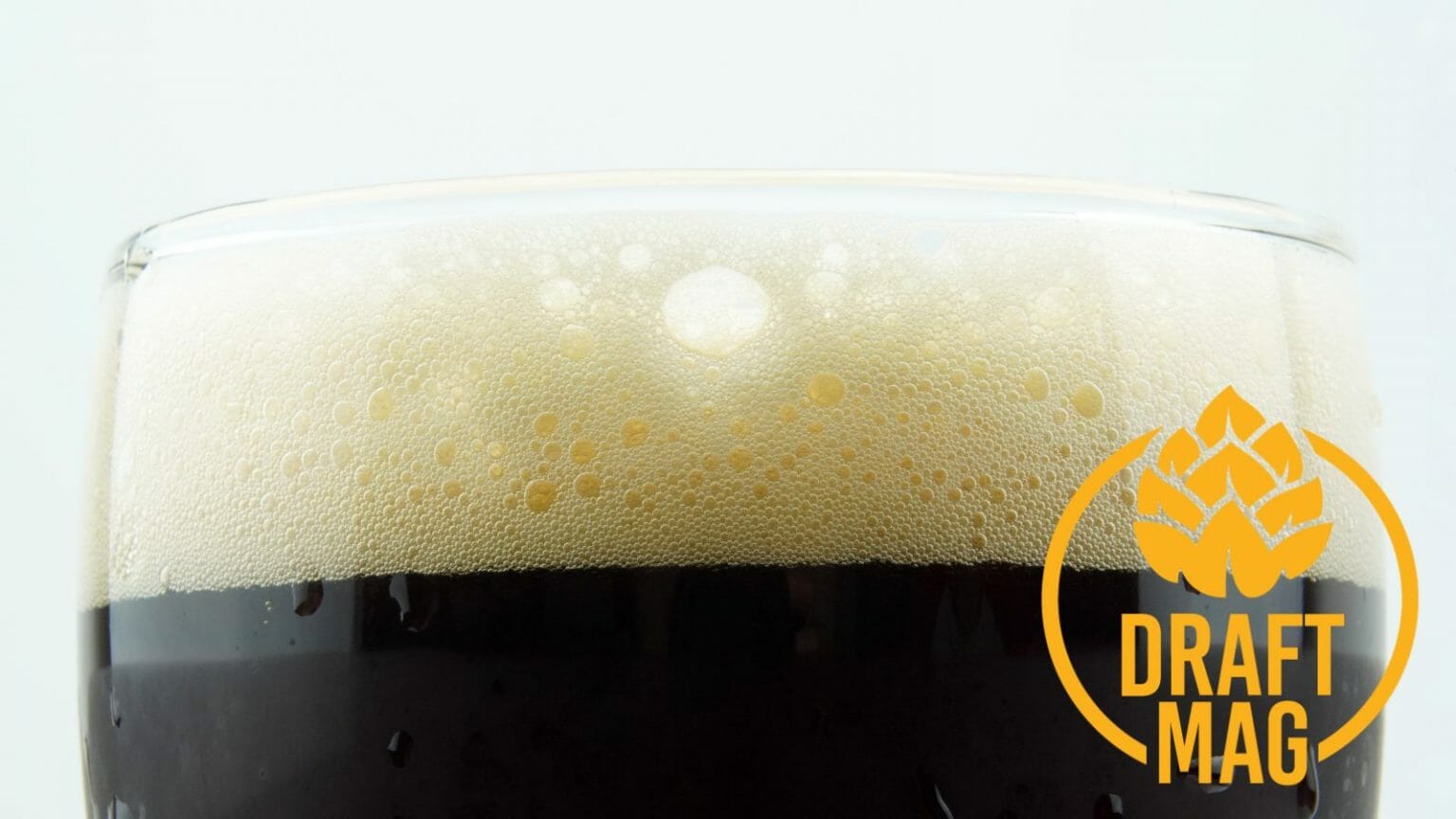 Zombie Dust Beer Review: Try Out This Intensely Hopped Pale Ale