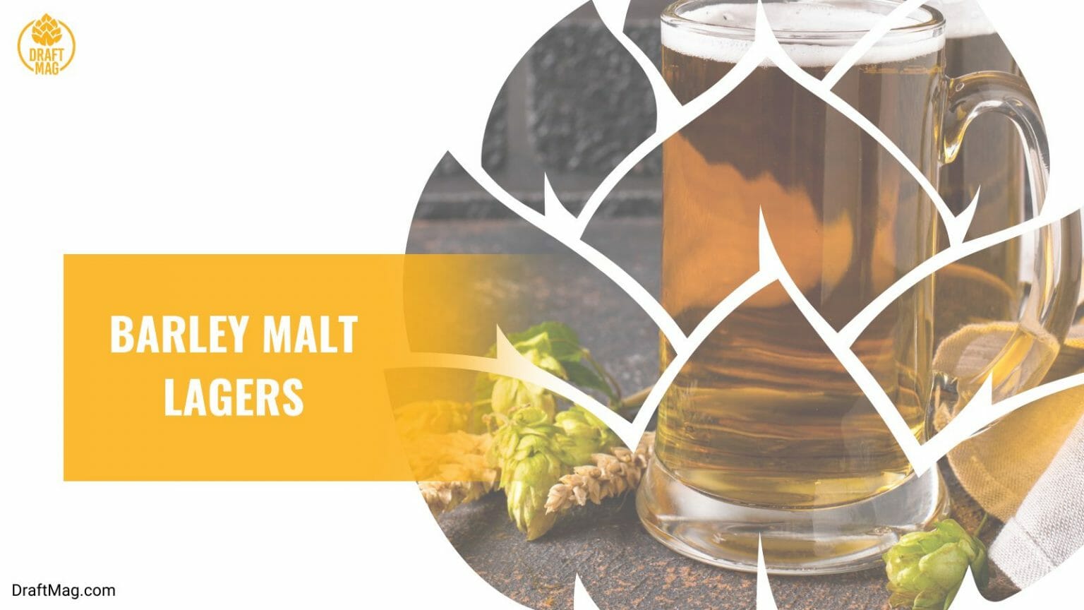 Is Beer Acidic? Understanding Beer pH and Its Importance