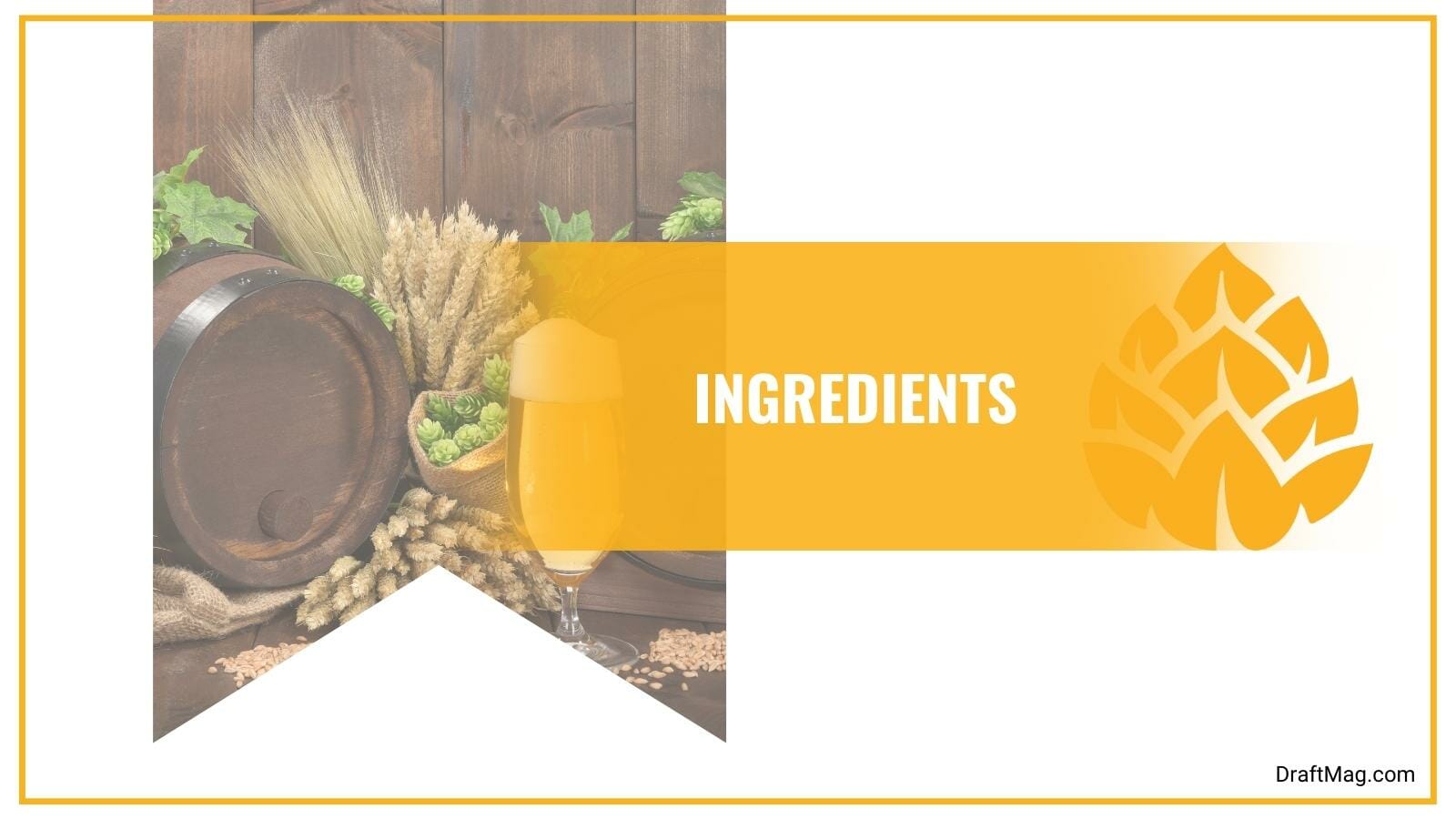 BarrelHouse Mango IPA Review: Should This Be on Your 'To-Drink' List?