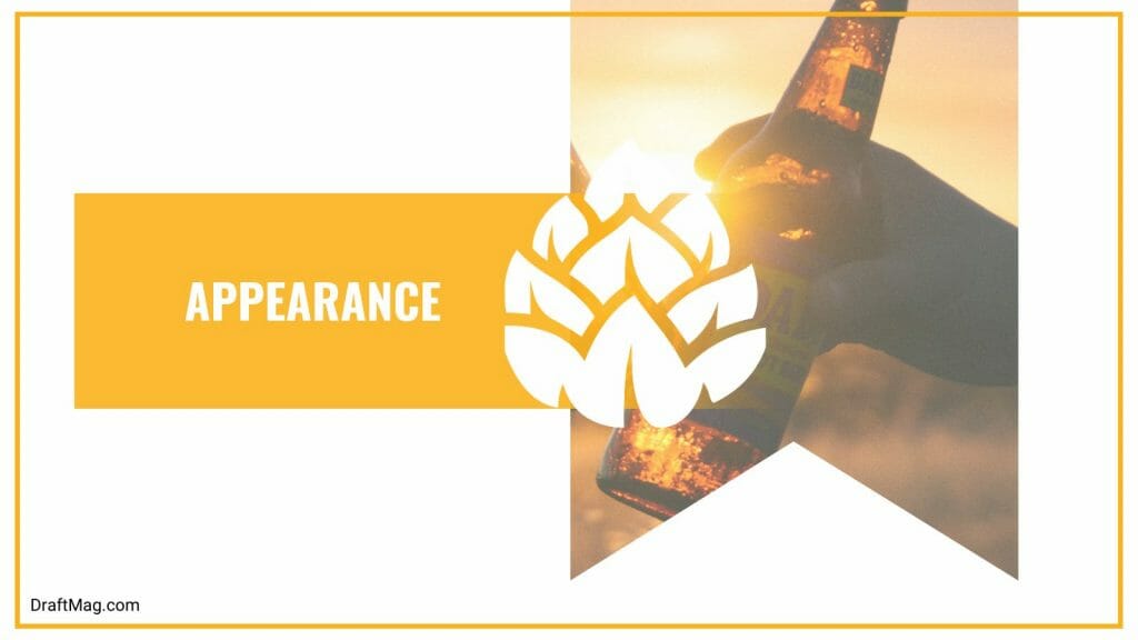 Flower Power IPA Review: A Hoppy and Juicy Punch for IPA Lovers