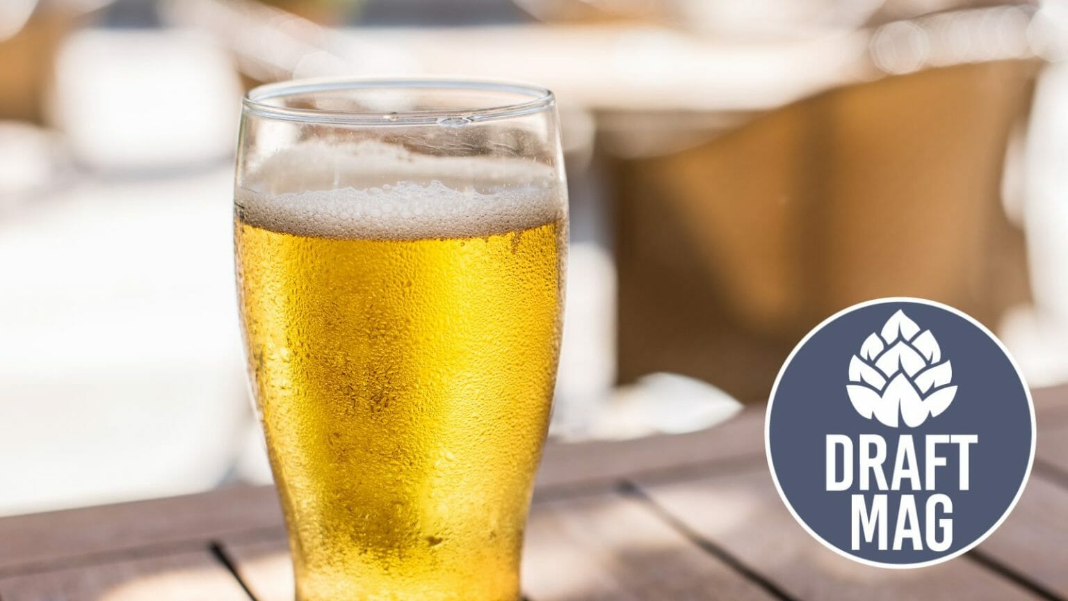 Spaten Lager Review: A Complete Look at This German Premium Lager