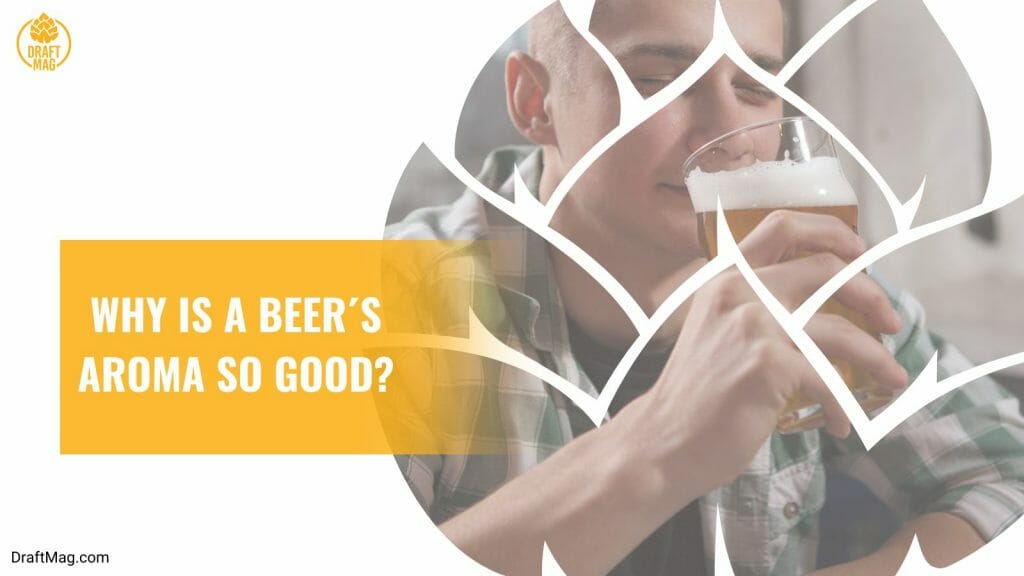 What Does Beer Smell Like? A Guide to the Most Common Beer Aromas