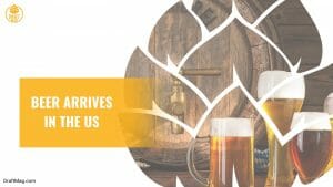 Warm Beer: A Complete Guide and History to Old Mulled Beer