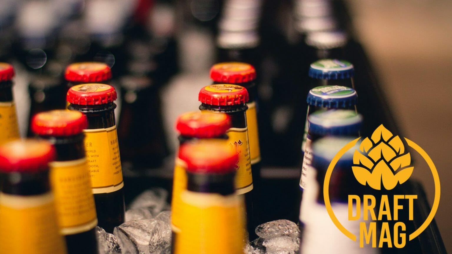 Beer Color: The Ultimate Guide To Different Beer Hues