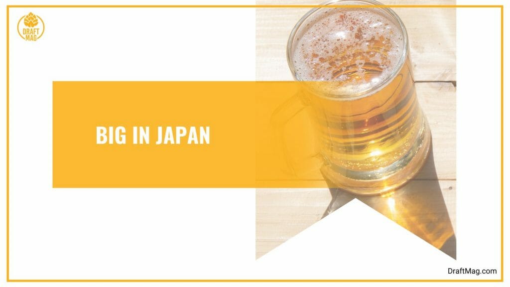 Rice Beer Brands: 13 of the Best-selling Rice Brews in the Market