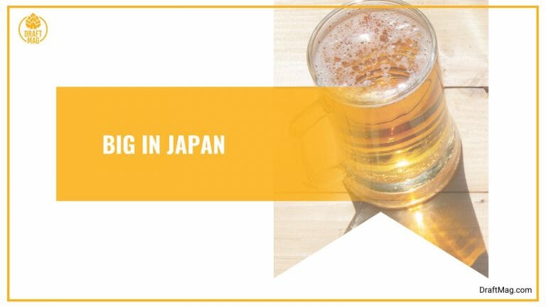 Rice Beer Brands: 13 of the Best-selling Rice Brews in the Market