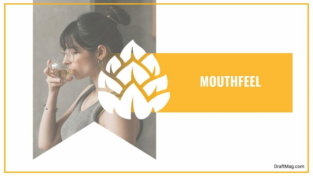 Big Wave Golden Ale Review: A Fruity and Hoppy Blonde Ale