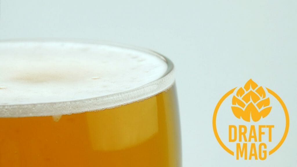 Amber Bock Beer Review: What Makes This American Amber Brew Unique?