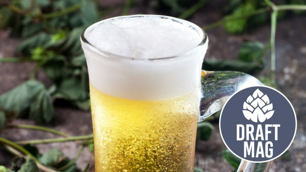 Electric Jellyfish IPA: A Review of the Top Beer for All Hop Heads