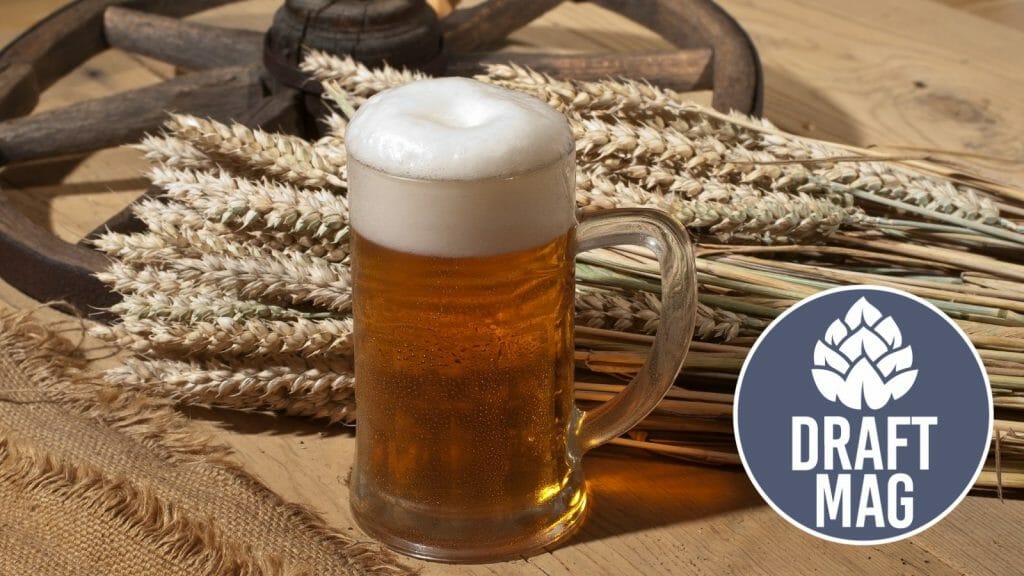 Modelo Chelada Review: Should You Try This Popular Specialty Beer?