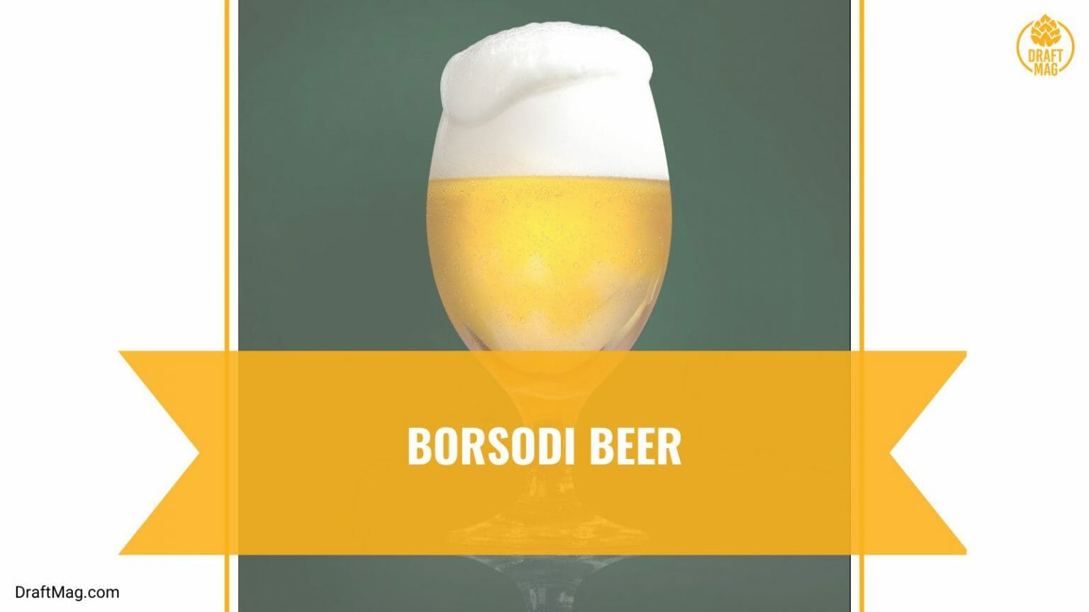Hungarian Beer: The Best Beer Brands in Hungary To Enjoy