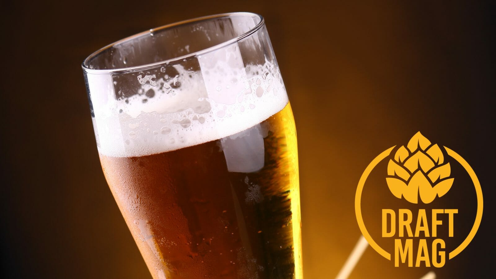 Broken Skull IPA Review: A Tasty and Crushable IPA for Beginners